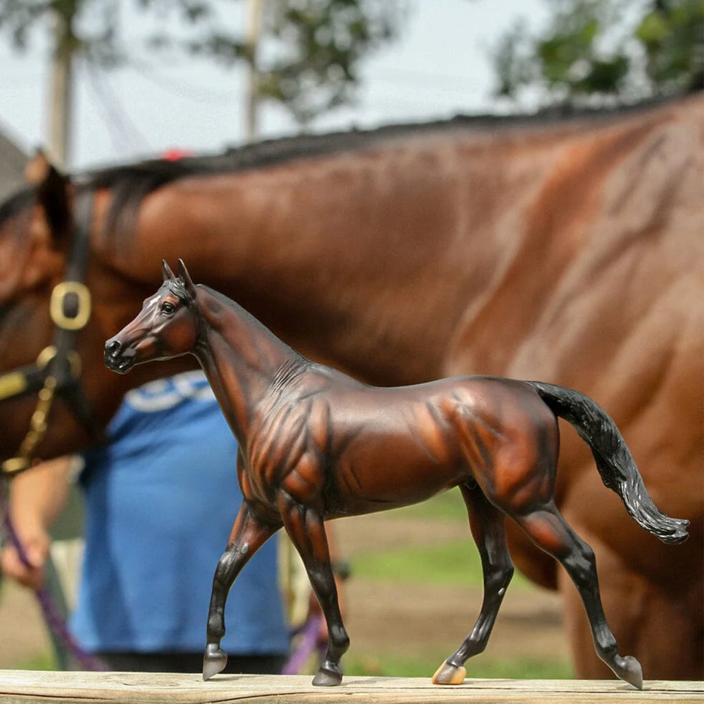Breyer Traditional Cody's Wish – Breyer Horses Australia