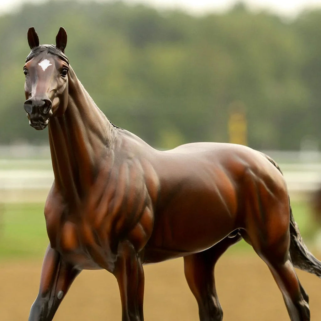 Breyer Traditional Cody's Wish – Breyer Horses Australia