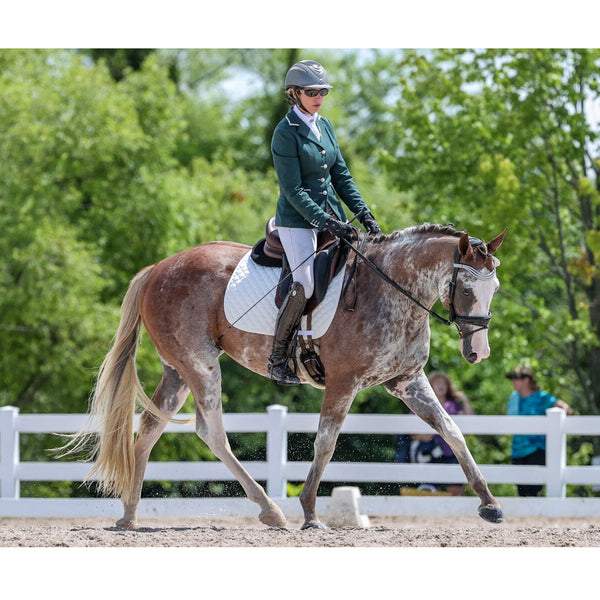 Breyer Traditional Full Moon Rising – Breyer Horses Australia