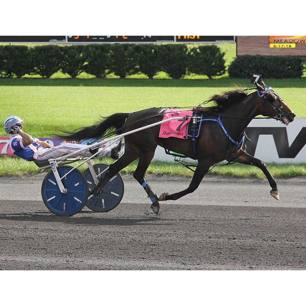 Breyer Traditional Atlanta- Standardbred Trotter – Breyer Horses Australia