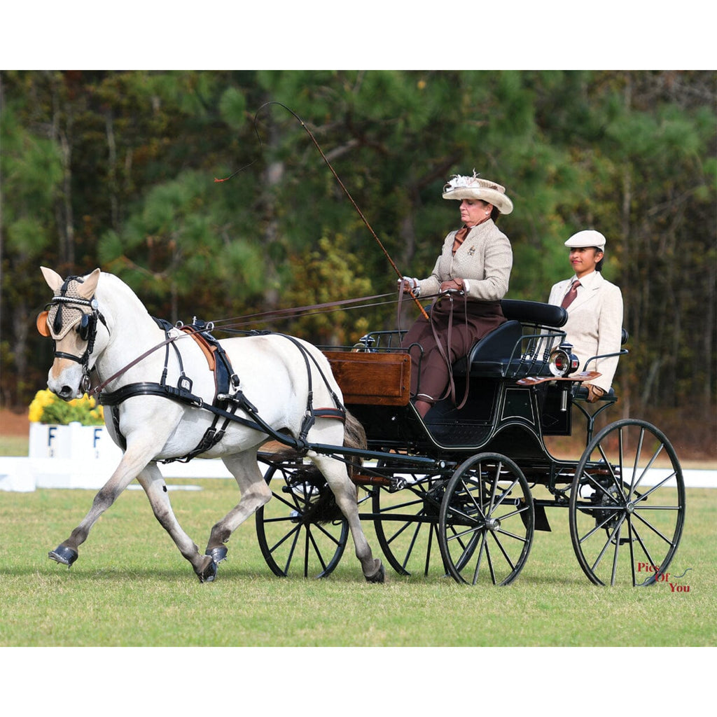 Breyer Traditional Sweetwater's Zorah Belle - Zoobie – Breyer Horses ...